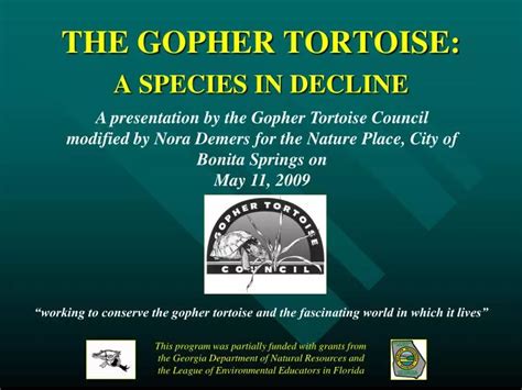 Ppt The Gopher Tortoise Powerpoint Presentation Free Download Id