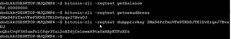Bitcoind And Bitcoin Cli Assignment Bitcoin Programming 101 Moralis