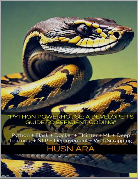 python powerhouse a developer s guide to efficient coding python
