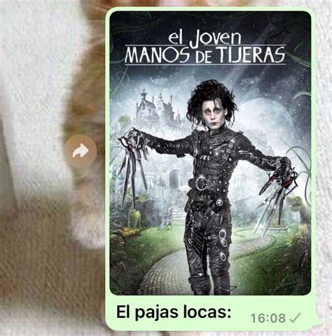 No Se Que Mierda Hice Meme Subido Por PACITAAAAAA Memedroid