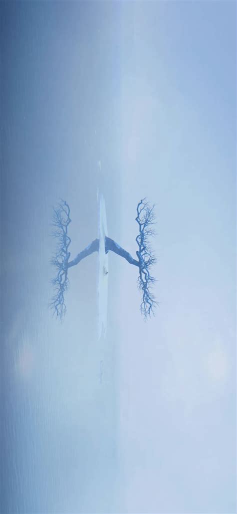 苍兰决 堆糖，美图壁纸兴趣社区