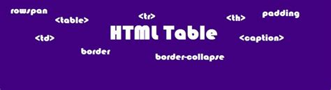 Complete HTML Tables Tutorial Syntax Examples And Coding