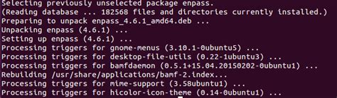 Install Secure Password Manager Application Enpass On Ubuntu Linux