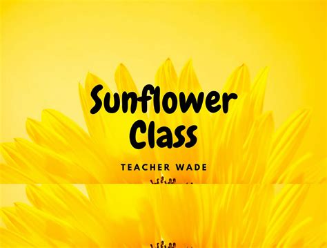 Sunflower Class Facebook