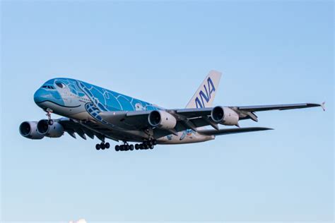 全日空 Airbus A380 Ja381a 成田国際空港 航空フォト By ゆーすきんさん 撮影2022年12月18日