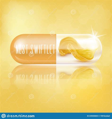 Edible Nest Swiftlet Drop Of Saliva From A Bird`s Nest Stock Vector