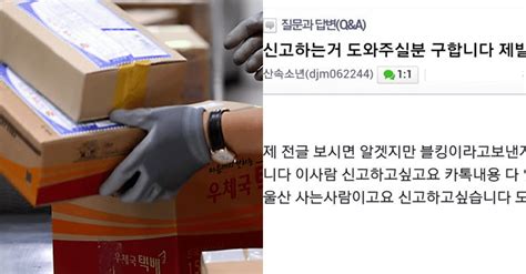 “택배 주문했는데 살모사가 배달왔습니다” 지식의정석 New