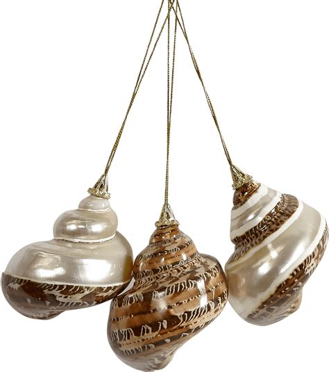 Download Elegant Shell Ornaments