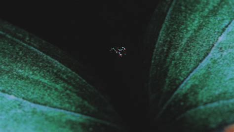 The Revamped Galaxy Fold Has Suffered Its First Display Defect Sammobile