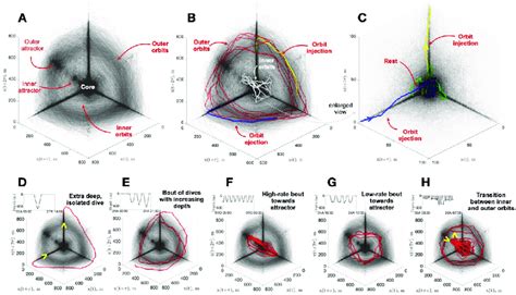 Diving Behavior State Space Revealed By Time Delay Embedding A The