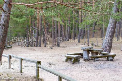 빈 공원의 나무 벤치와 테이블 레크리에이션 및 휴식 장소 개념입니다 가을에 대한 스톡 사진 및 기타 이미지 가을 관광