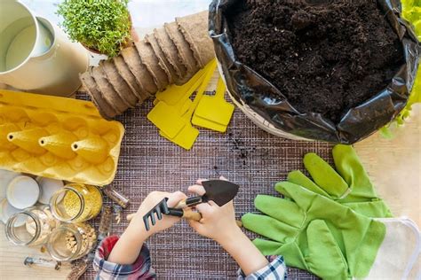 Premium Photo Peat Pots Tools And Soil Are Ready For Planting Seeds Growing Seedlings For