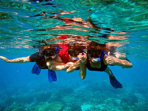 Compass Diving Explore Timor Leste S Seas