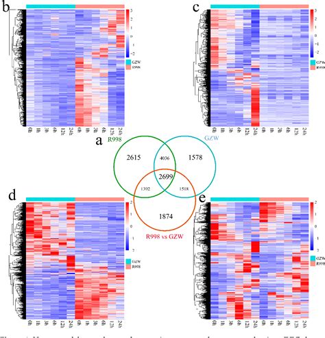 Figure 6 From Comparative Transcriptomic Analysis And Candidate Gene Identification For Wild