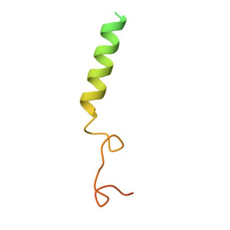 Rcsb Pdb 7xbx Cryo Em Structure Of The Human Chemokine Receptor