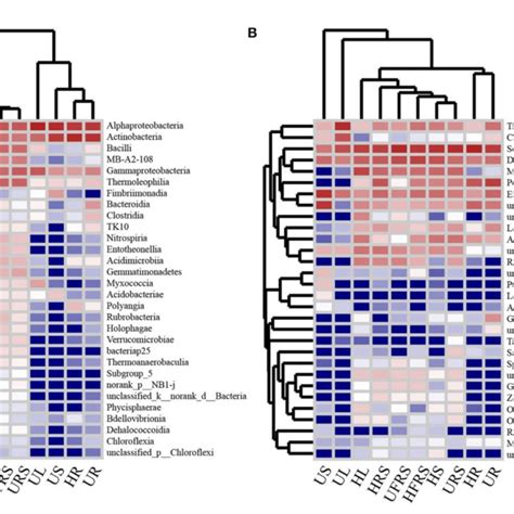 Figure Heatmap Analysis Of The Top Pp Classes Of A Bacterial And B