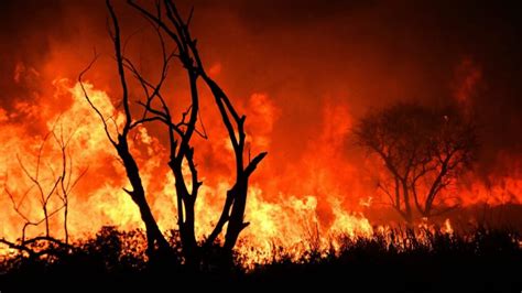 Siete Acusados Por Los Incendios En Las Islas Fueron Procesados