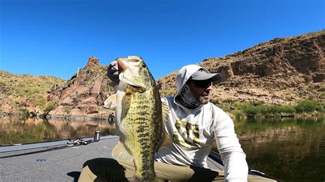 Crazy Catch Alert Epic Big Bass Youtube