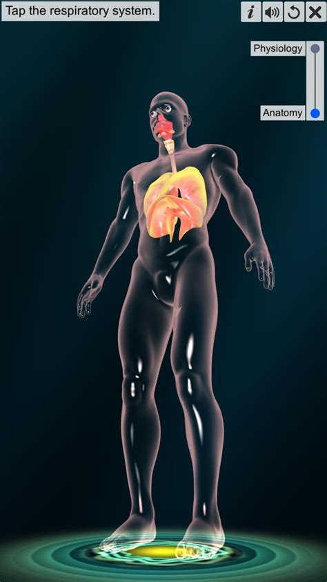 Respiratory System Physiology Latest Version 10 For Android