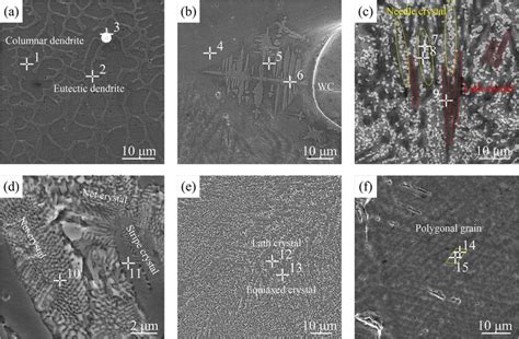 The Sectional Microstructure Of Gradient Cladding Layers A First