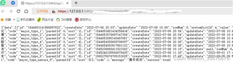 前后端分离项目,开发和部署时,开启访问的整体思路(详细步骤)前后端分离 前端配置 Ssl Csdn博客 前后端分离项目,开发和部署时,开启访问的整体思路(详细步骤)前后端分离 前端配置 Ssl Csdn博客
