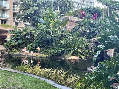 Hawaiian Explorer By Trafalgar With 9 Tour Reviews Tourradar