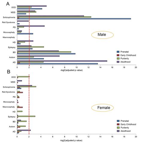 Overview Sex Differences And Brain Development Developmental Biology Research Highlights