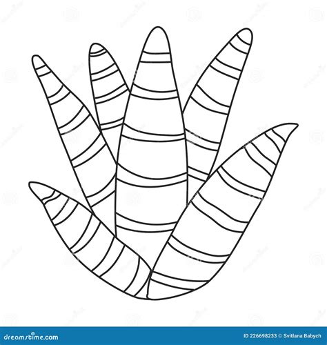 Cactus Vector Iconesquema Icono Vector Aislado En Cactus De Fondo