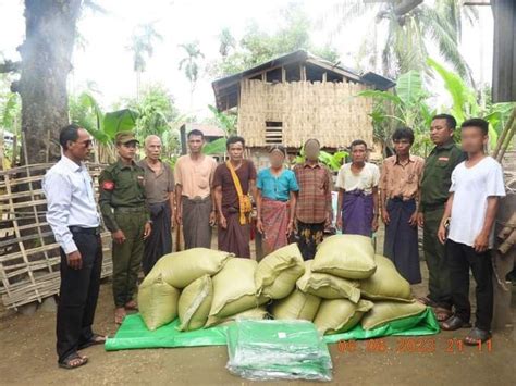 မြောက်ဦးမြို့နယ်တွင် Mocha ဆိုင်ကလုန်းမုန်တိုင်းဒဏ်ကို ဆိုးဝါးစွာ