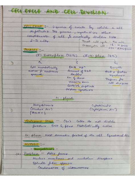 Cell Cycle Class 11th Pdf