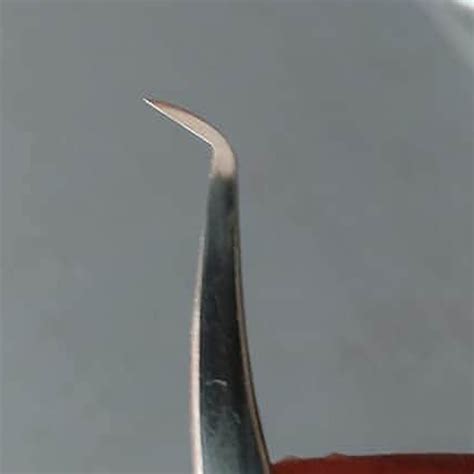 Eyelash Tweezers Pissco