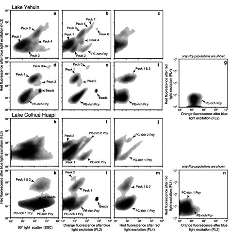 Cytograms Showing The Different Photosynthetic Picoplankton Populations