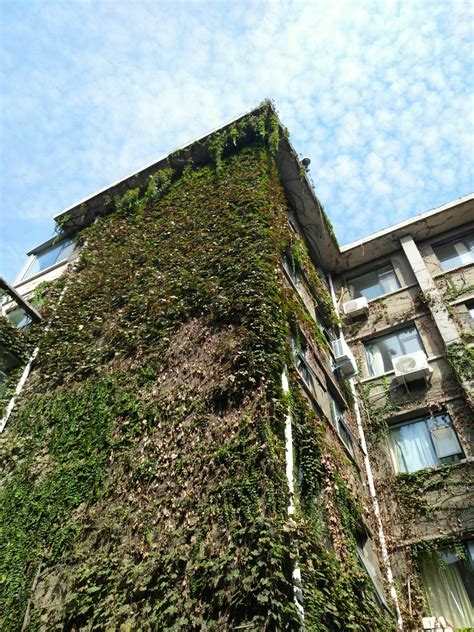 2024郑州大学游玩攻略特别是医学院院区，郑州大学【去哪儿攻略】