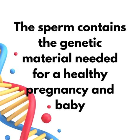 A Mans Physical Health Genetics And Lifestyle Can Significantly Impact A Womans Fertility