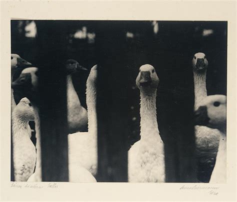 Anna Sibilla Biermann Artwork For Sale At Online Auction Anna Sibilla Biermann Biography And Info