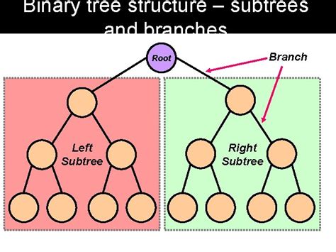 Binary Trees Binary Tree Structure Root Node Stores