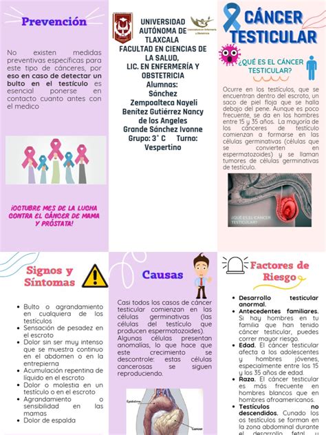 CÁncer Testicular Pdf
