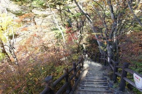 塩原渓谷遊歩道の回顧コースを紅葉ハイキングしてきた旅記録地図と距離所要時間は 歩いてみたブログ