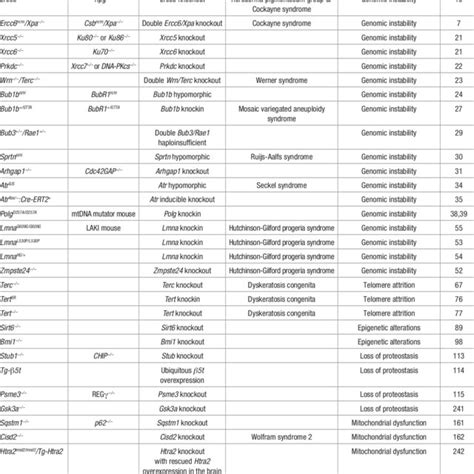 Genetically Engineered Mouse Models With Accelerated Aging Phenotypes Download Table