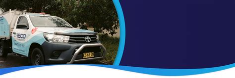 Tree Root Stump Removal Sydney ABCO Plumbing Solutions