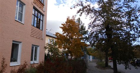 Раковые шейки: Осенний рандом (фото)
