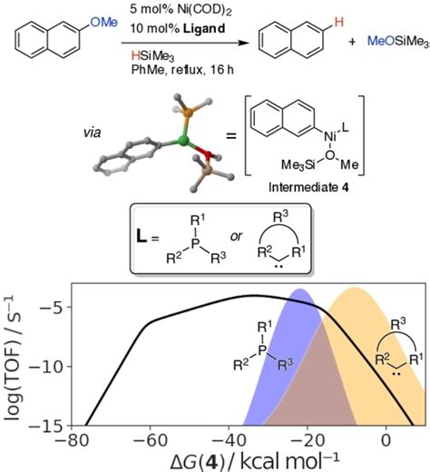 Reductive Ni‐catalyzed Cleavage Of The 2‐methoxynaphthalene Csp²−o