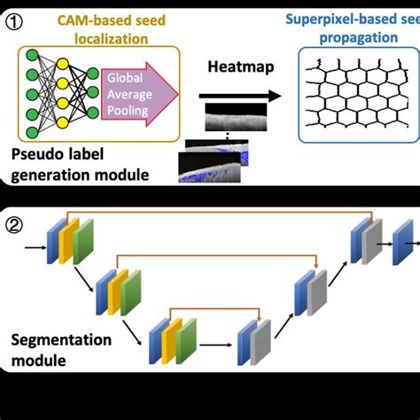 Algorithm Training Flow Of The Proposed Weakly Supervised Segmentation