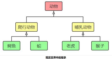 19 面向对象三大特征——继承 csdn博客