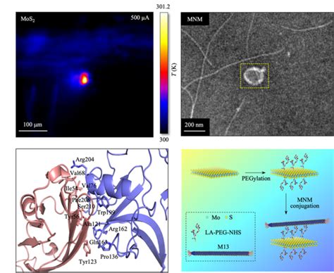 Sutd Researchers Developed Novel 2d Material Eurekalert