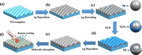 Schematic Diagram Showing The Fabrication Procedure Of Download Scientific Diagram