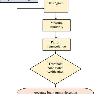 Gray Bimodal Histogram Segmentation A Input Preprocessed Brain MRI