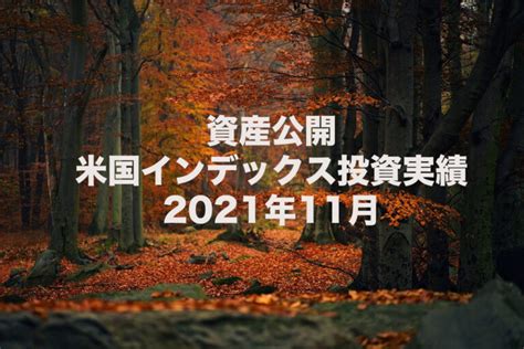 【資産公開】米国インデックス投資実績2021年11月