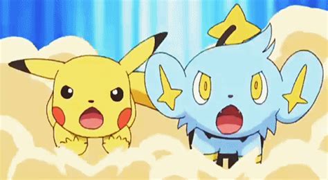 Shinx Wiki Pok Mon Amino