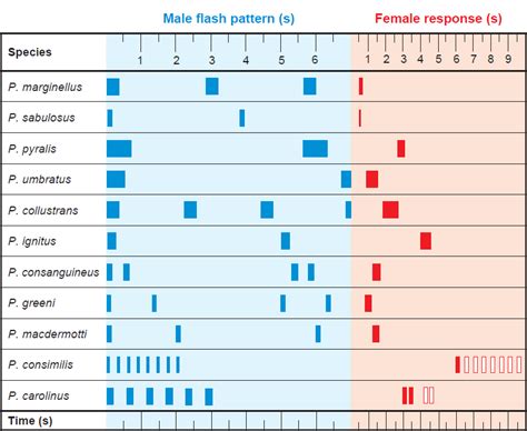 Bioluminescence And Mating Bioluminescent Flashing In Fireflies